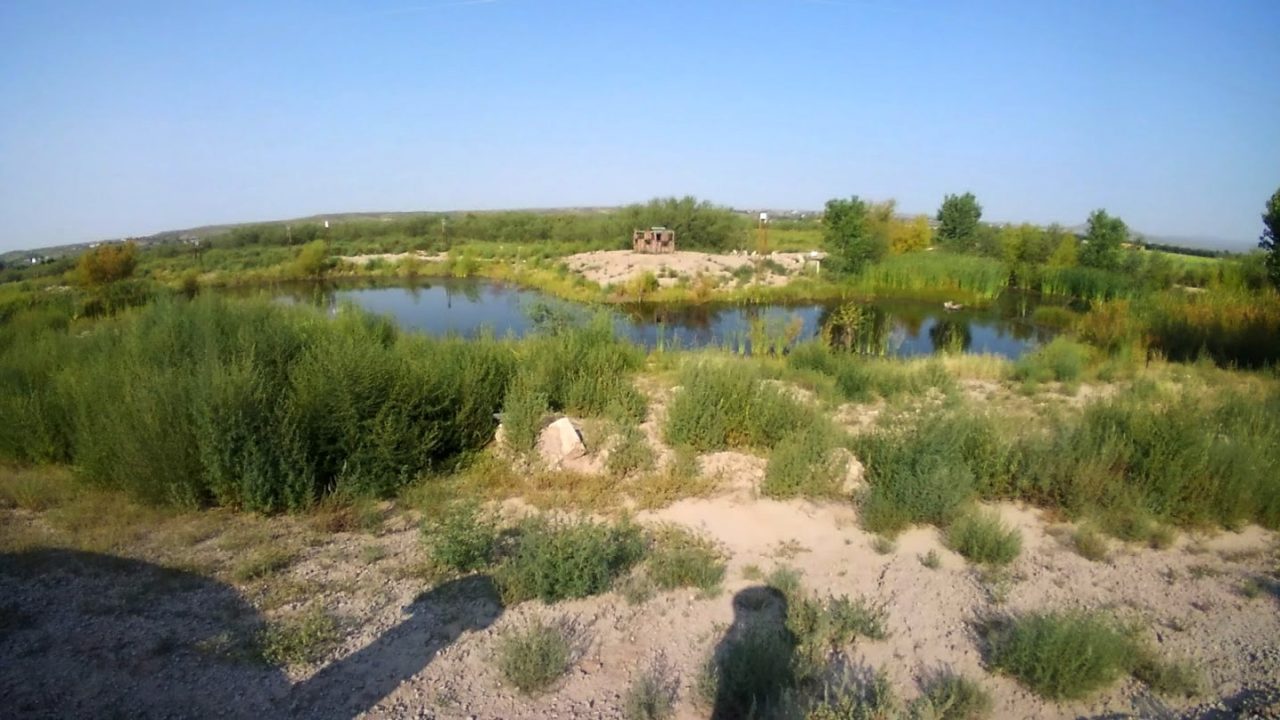 Earth Works | High Desert Native Plants